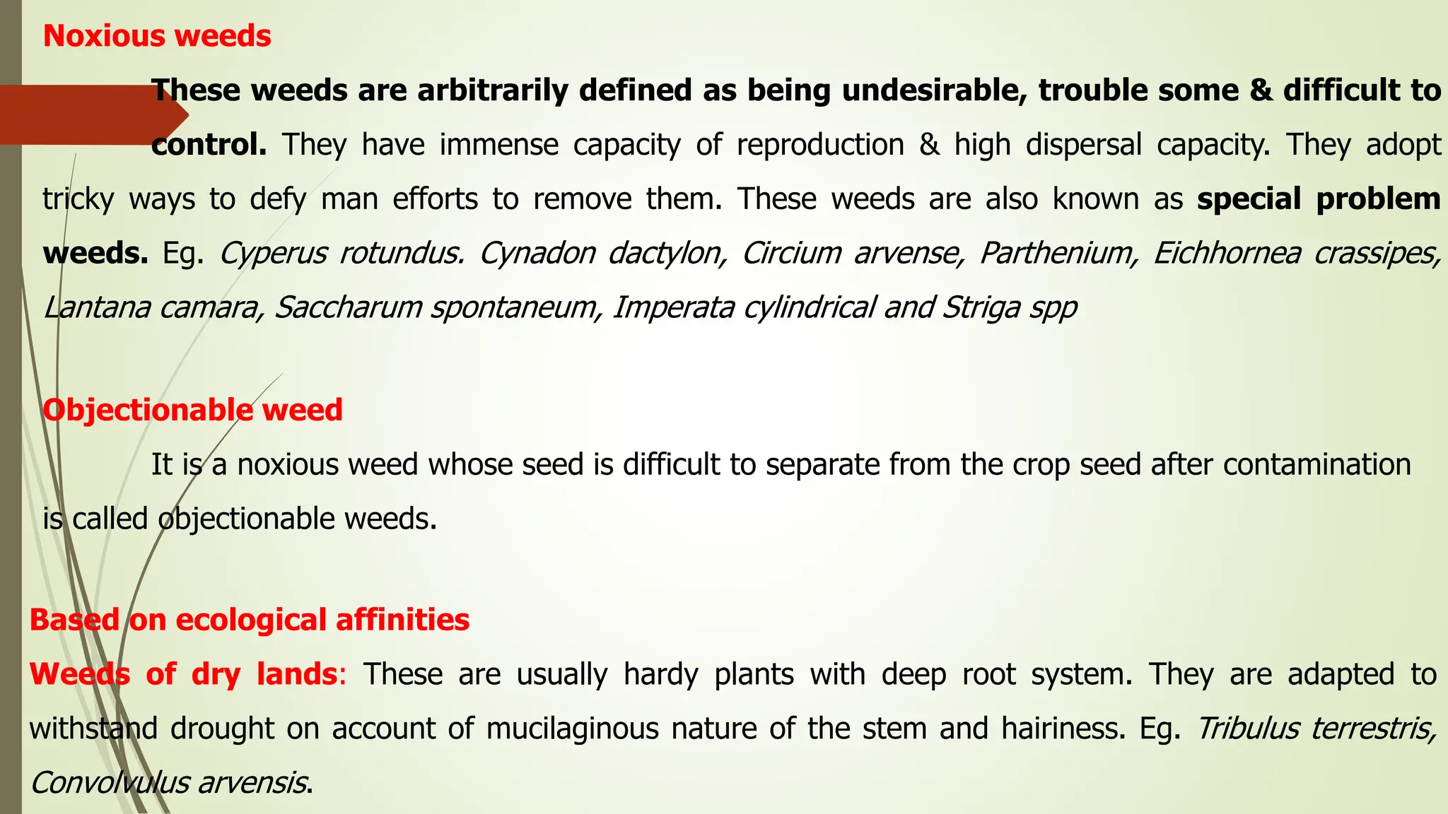 4. Classification of weeds-1.pptx in this we talk about weed | PPTX
