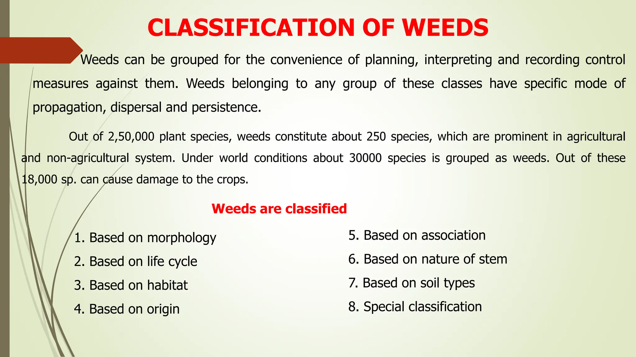 4. Classification of weeds-1.pptx in this we talk about weed | PPTX