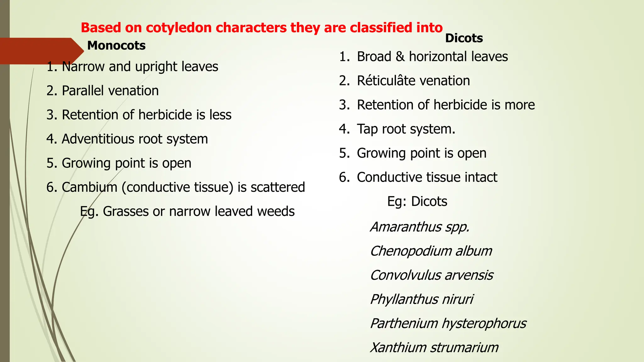 4. Classification of weeds-1.pptx in this we talk about weed | PPTX