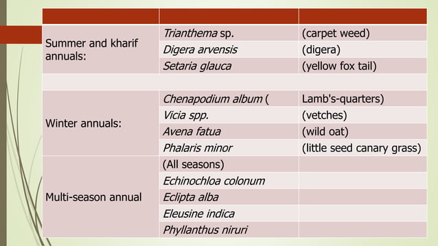 4. Classification of weeds-1.pptx in this we talk about weed | PPTX