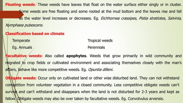 4. Classification of weeds-1.pptx in this we talk about weed | PPTX