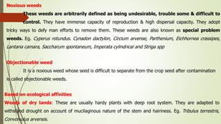 4. Classification of weeds-1.pptx in this we talk about weed | PPTX