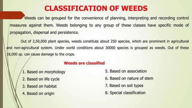 4. Classification of weeds-1.pptx in this we talk about weed | PPTX