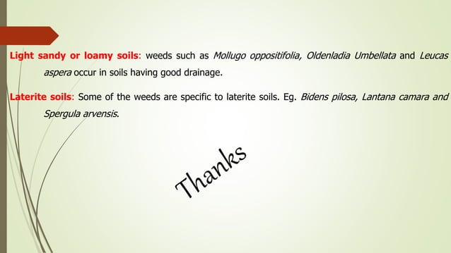 4. Classification of weeds-1.pptx in this we talk about weed | PPTX