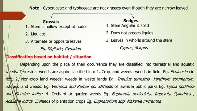 4. Classification of weeds-1.pptx in this we talk about weed | PPTX
