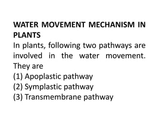 4. Mechanism of water absorption, Factors affecting water absorption-.pptx