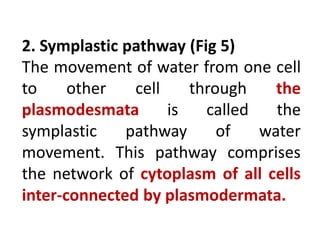 4. Mechanism of water absorption, Factors affecting water absorption-.pptx