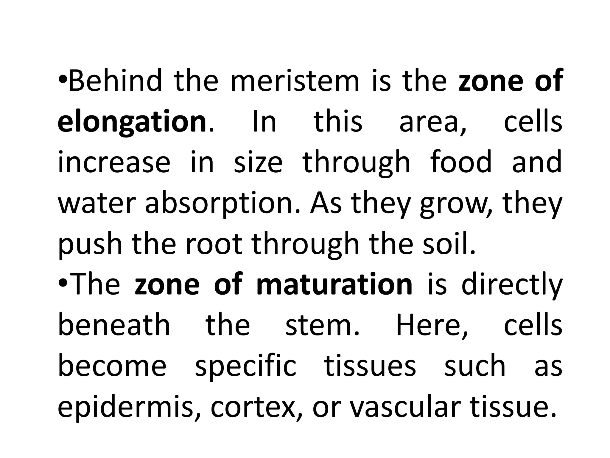 4. Mechanism of water absorption, Factors affecting water absorption-.pptx