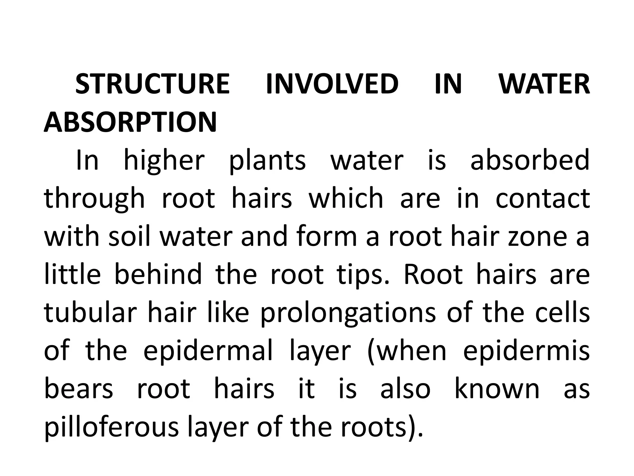 4. Mechanism of water absorption, Factors affecting water absorption-.pptx