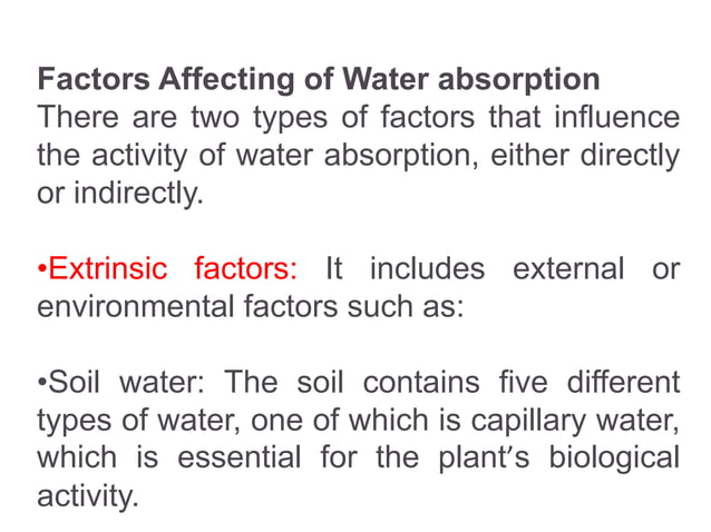 4. Mechanism of water absorption, Factors affecting water absorption-.pptx