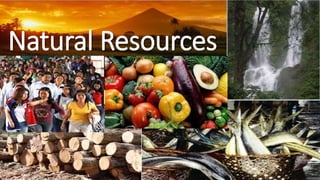 Grade 7 Science-4th Quarter-Natural Resources.pptx