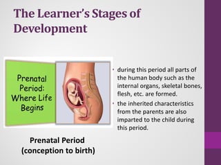 4. The Learners Stages of Development.pdf