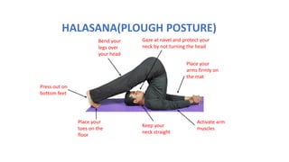 supine asana - Comprehensive understanding of Supine Asana | PDF