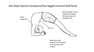 supine asana - Comprehensive understanding of Supine Asana | PDF