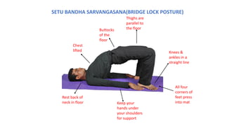supine asana - Comprehensive understanding of Supine Asana | PDF
