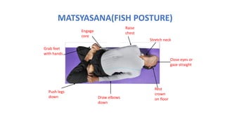 supine asana - Comprehensive understanding of Supine Asana | PDF