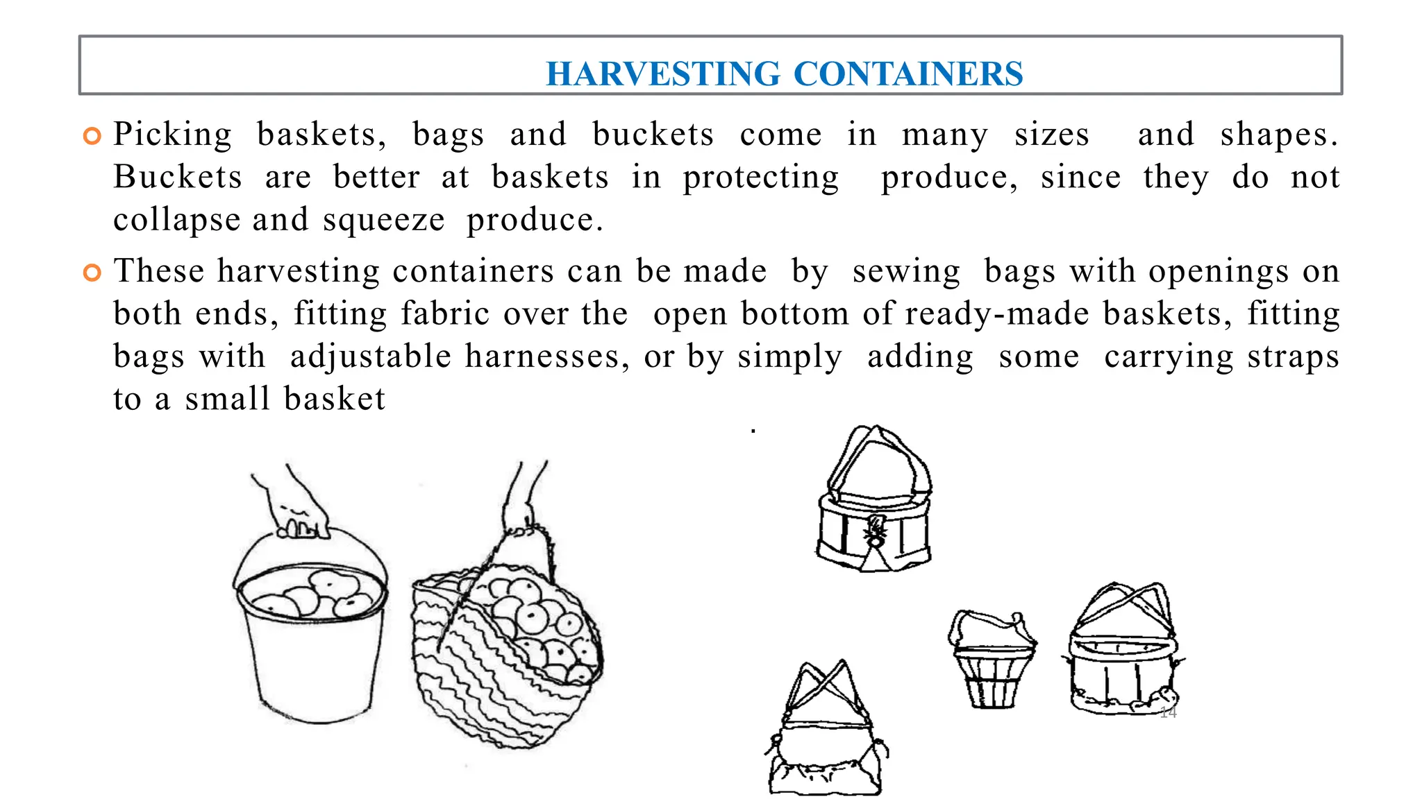 4. Harvesting of fruits and vegetables.pptx