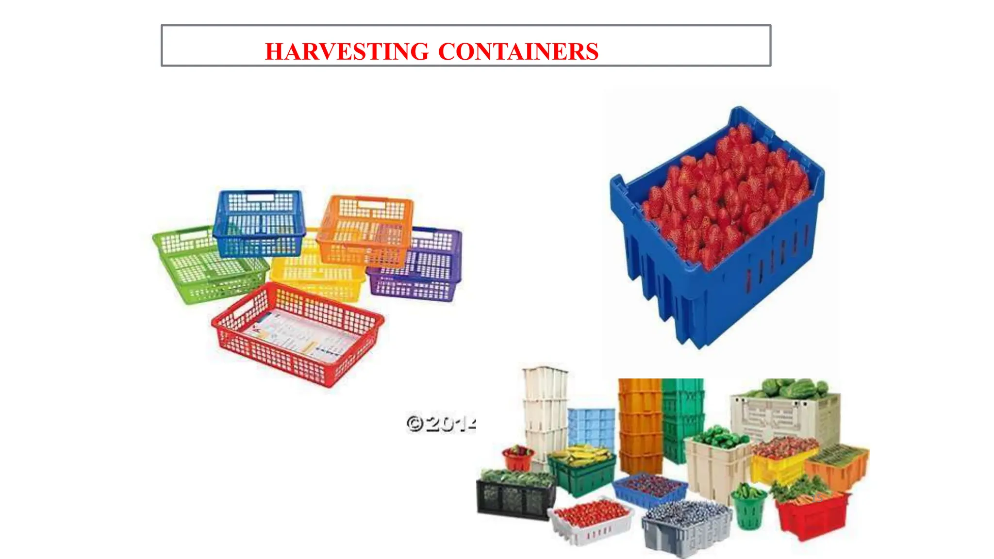 4. Harvesting of fruits and vegetables.pptx