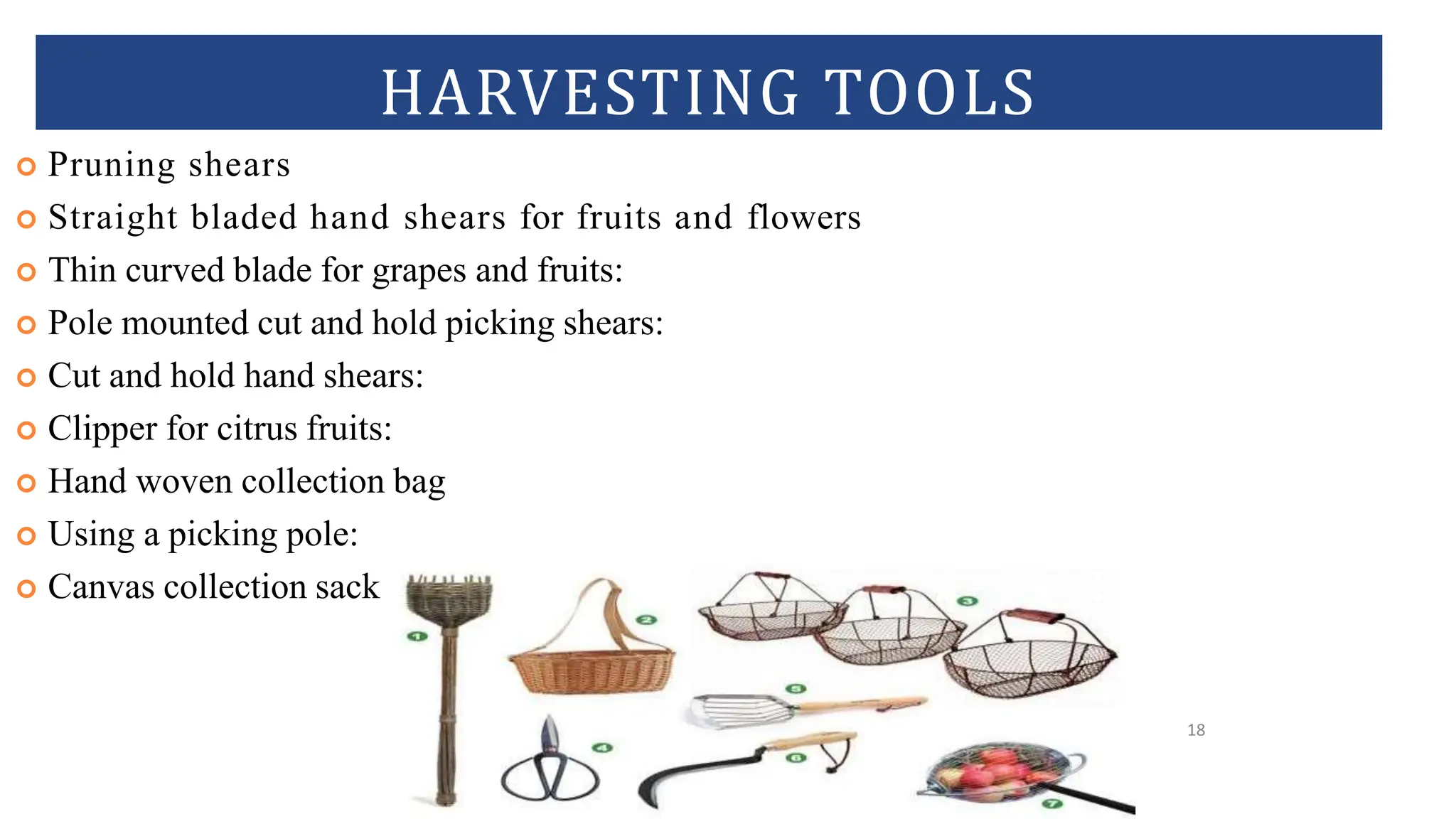 4. Harvesting of fruits and vegetables.pptx