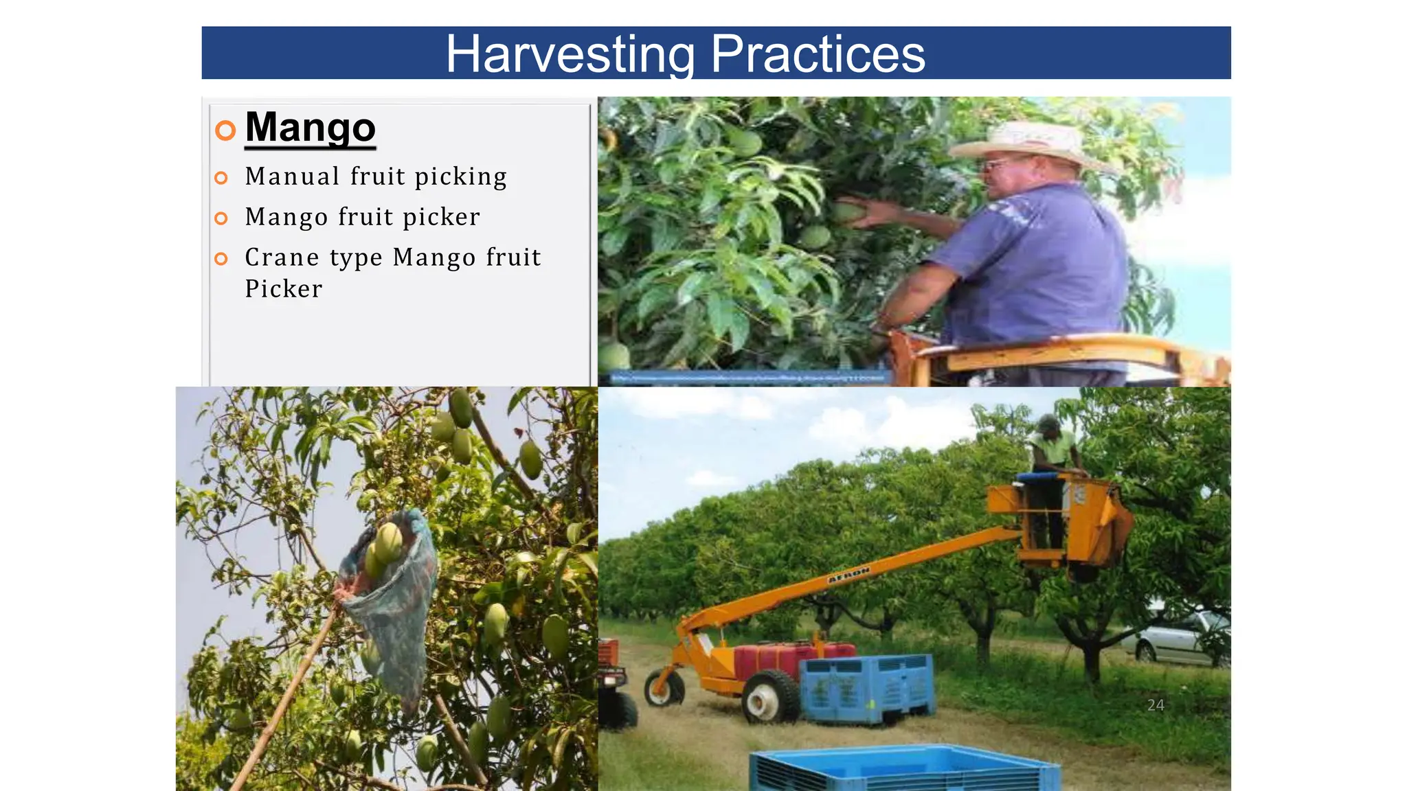 4. Harvesting of fruits and vegetables.pptx