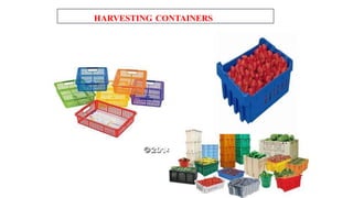 4. Harvesting of fruits and vegetables.pptx