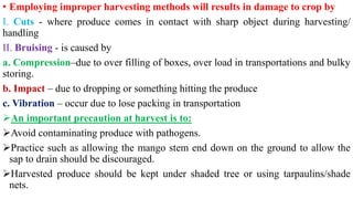 4. Harvesting of fruits and vegetables.pptx