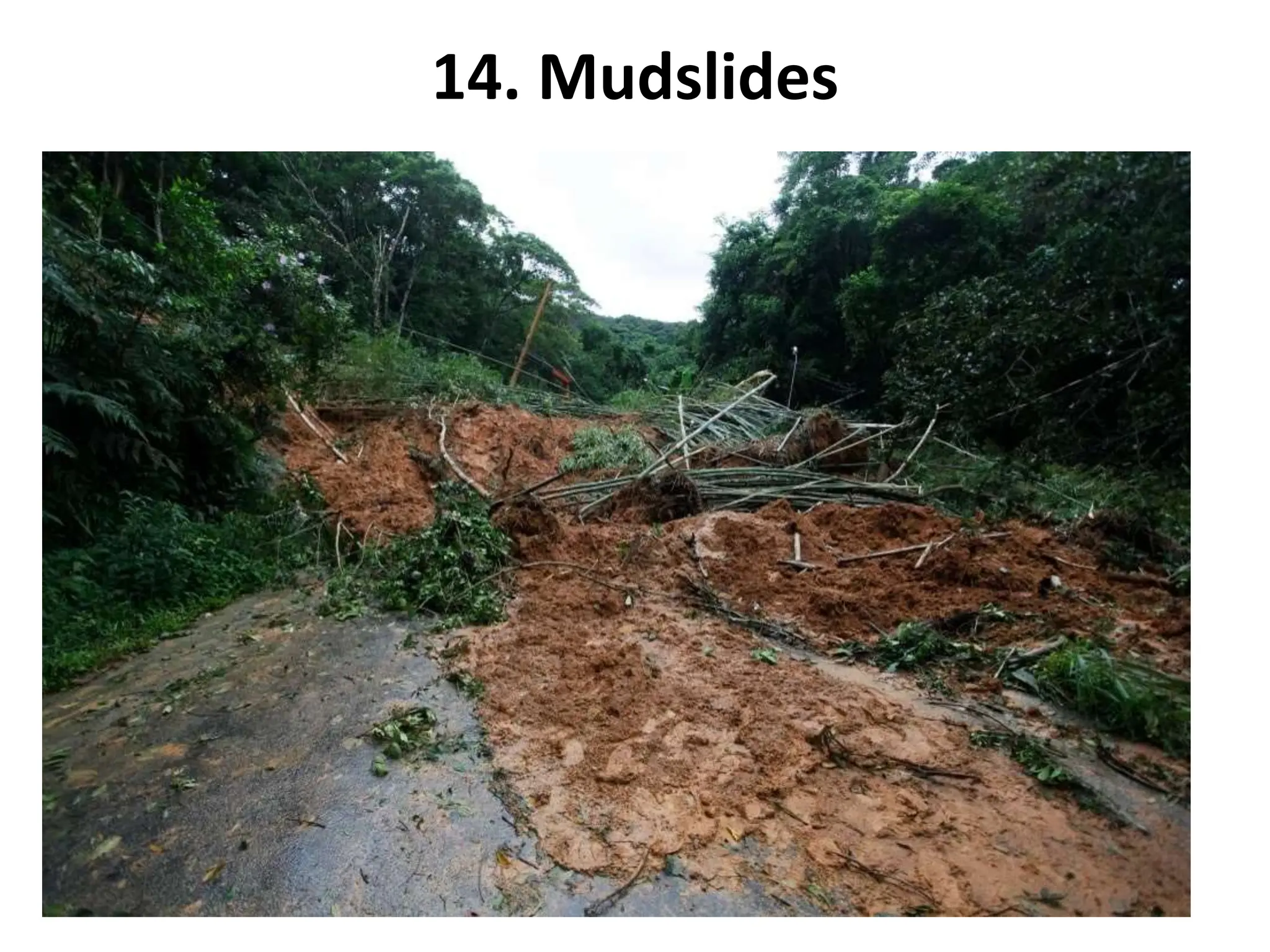 Natural disasters.ppt types of natural disasters | PPT