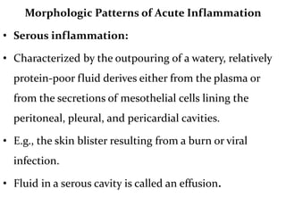 4._Morphologic_Patterns_&_Outcomes_of_Acute_Inflammation.pptx