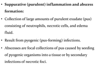 4._Morphologic_Patterns_&_Outcomes_of_Acute_Inflammation.pptx