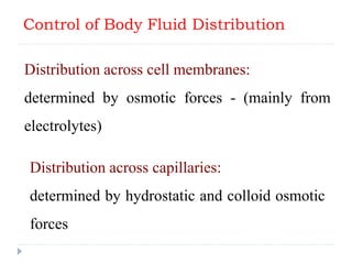 composition of Body fluids in human.pptx