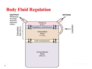 composition of Body fluids in human.pptx