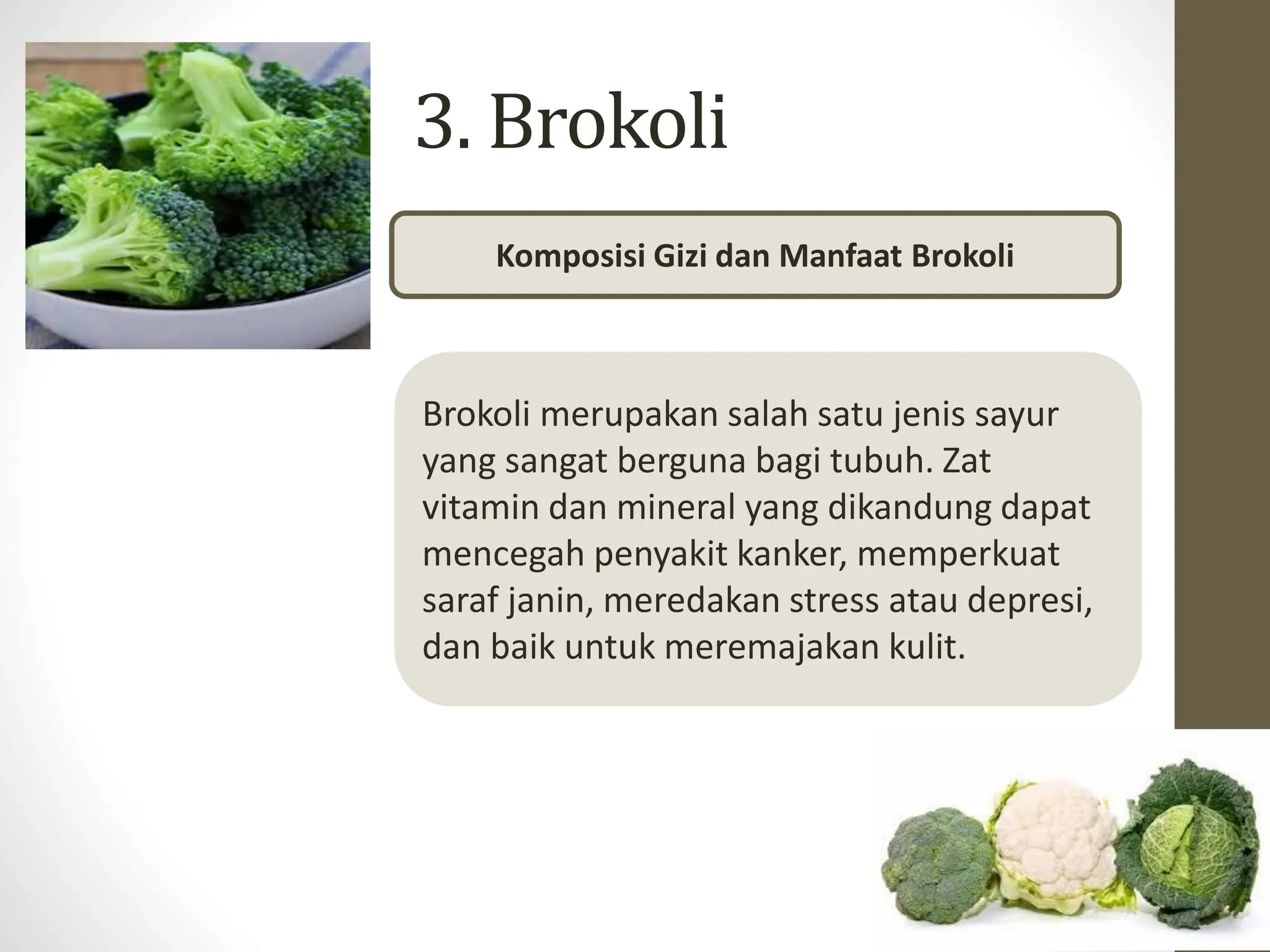 Komponen Bioaktif Nitrogen Pada Bahan Pangan Ppt