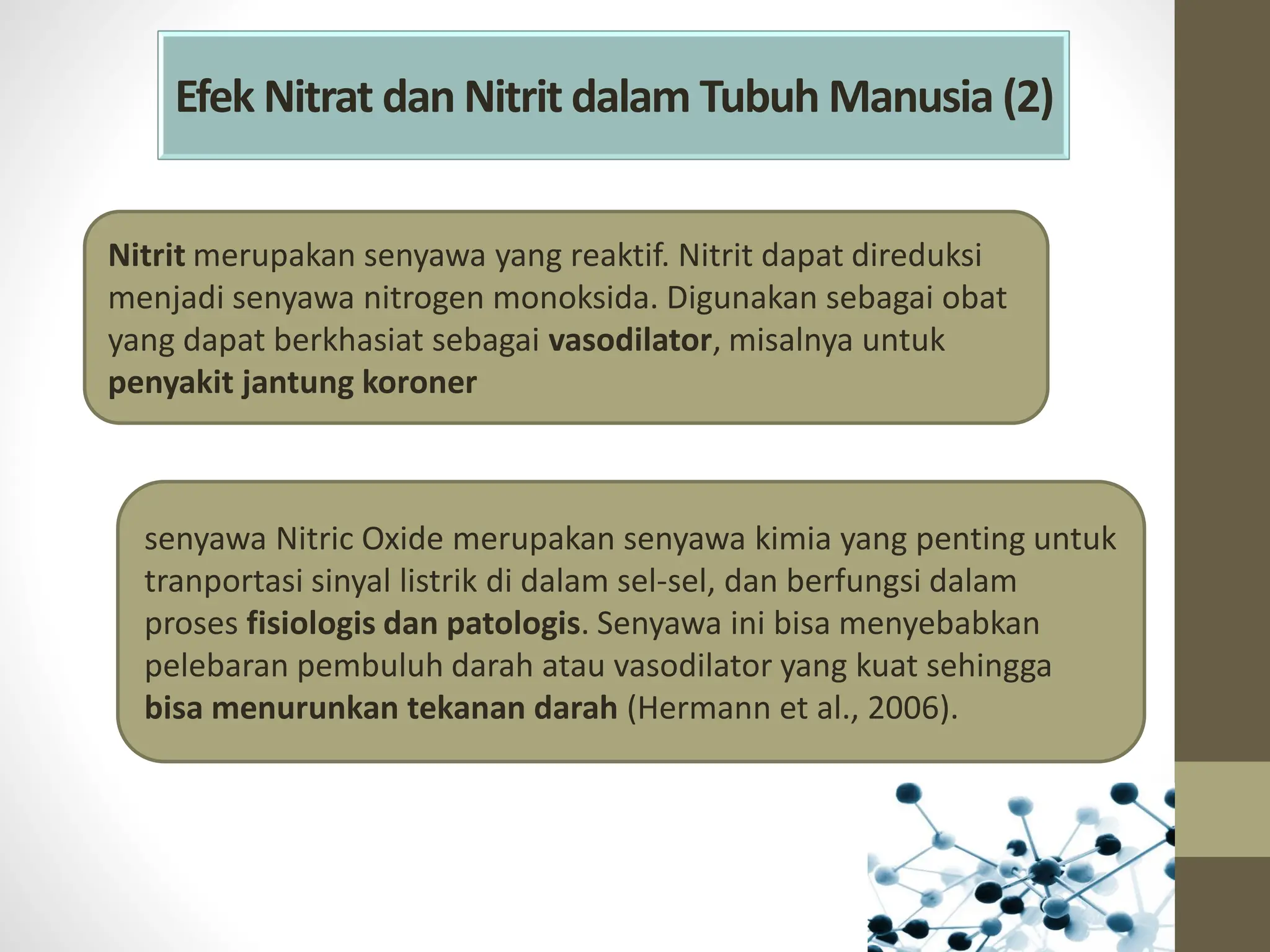 KOMPONEN BIOAKTIF (NITROGEN) PADA BAHAN PANGAN | PDF