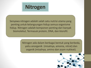 KOMPONEN BIOAKTIF (NITROGEN) PADA BAHAN PANGAN | PDF