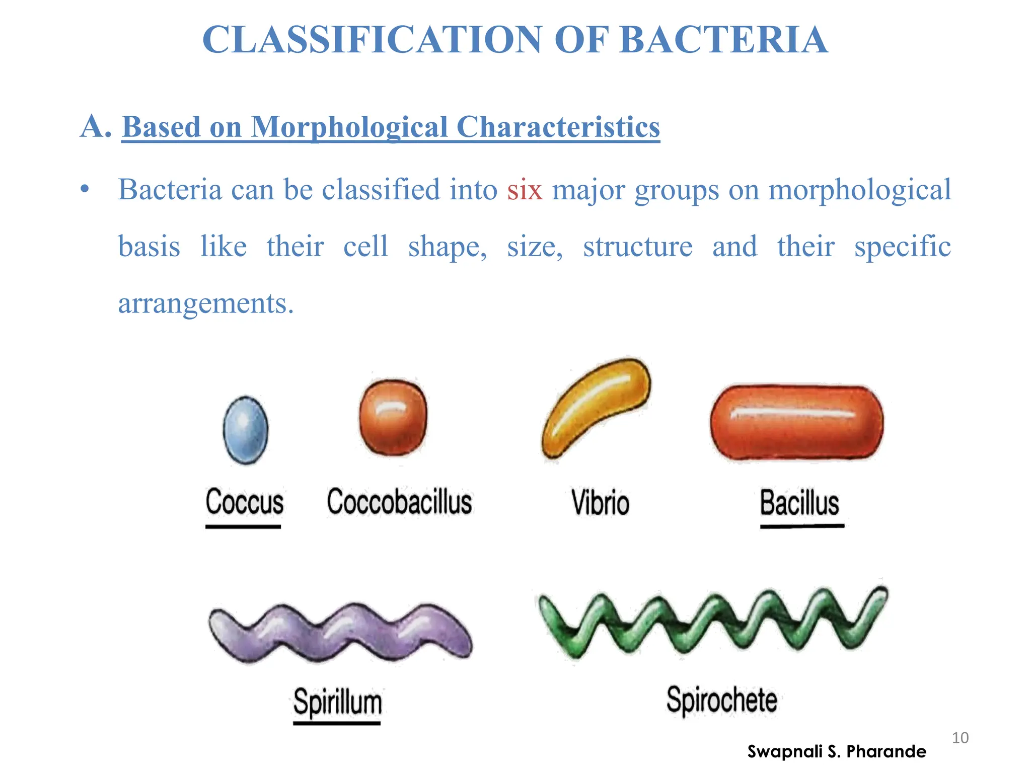 Bacteria: Classification of Bacteria.pdf