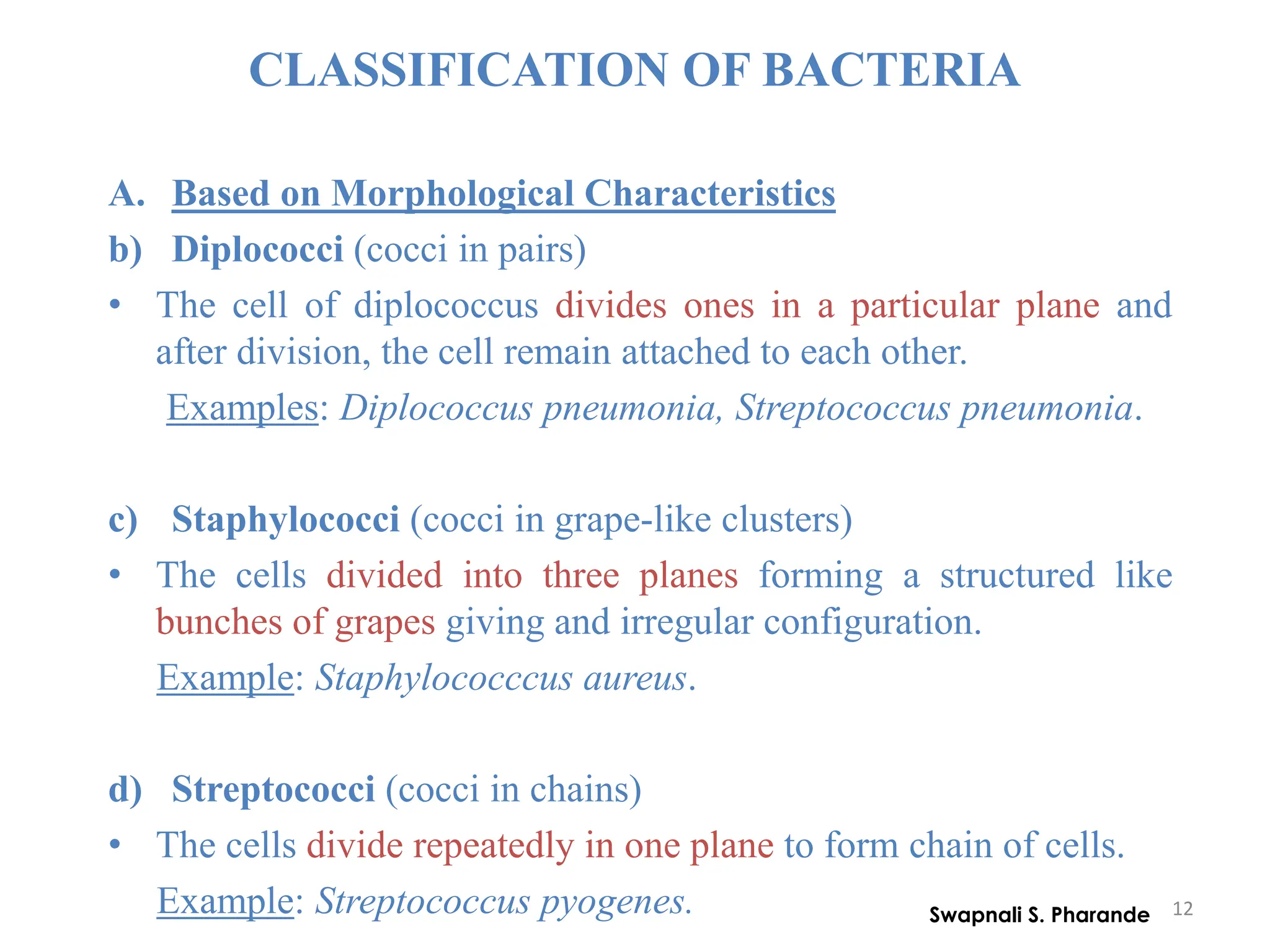 Bacteria: Classification of Bacteria.pdf