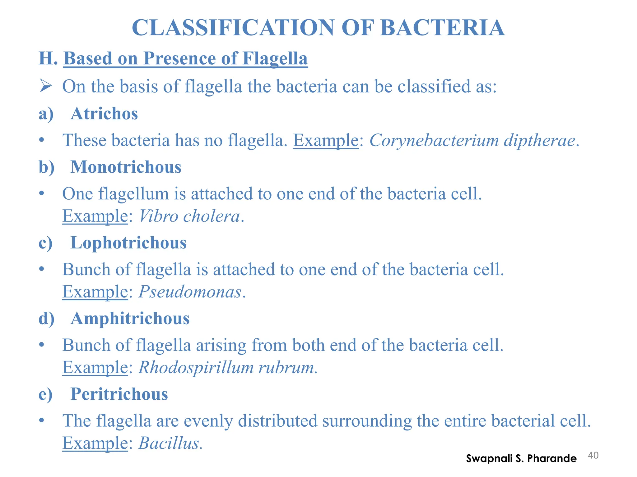 Bacteria: Classification of Bacteria.pdf