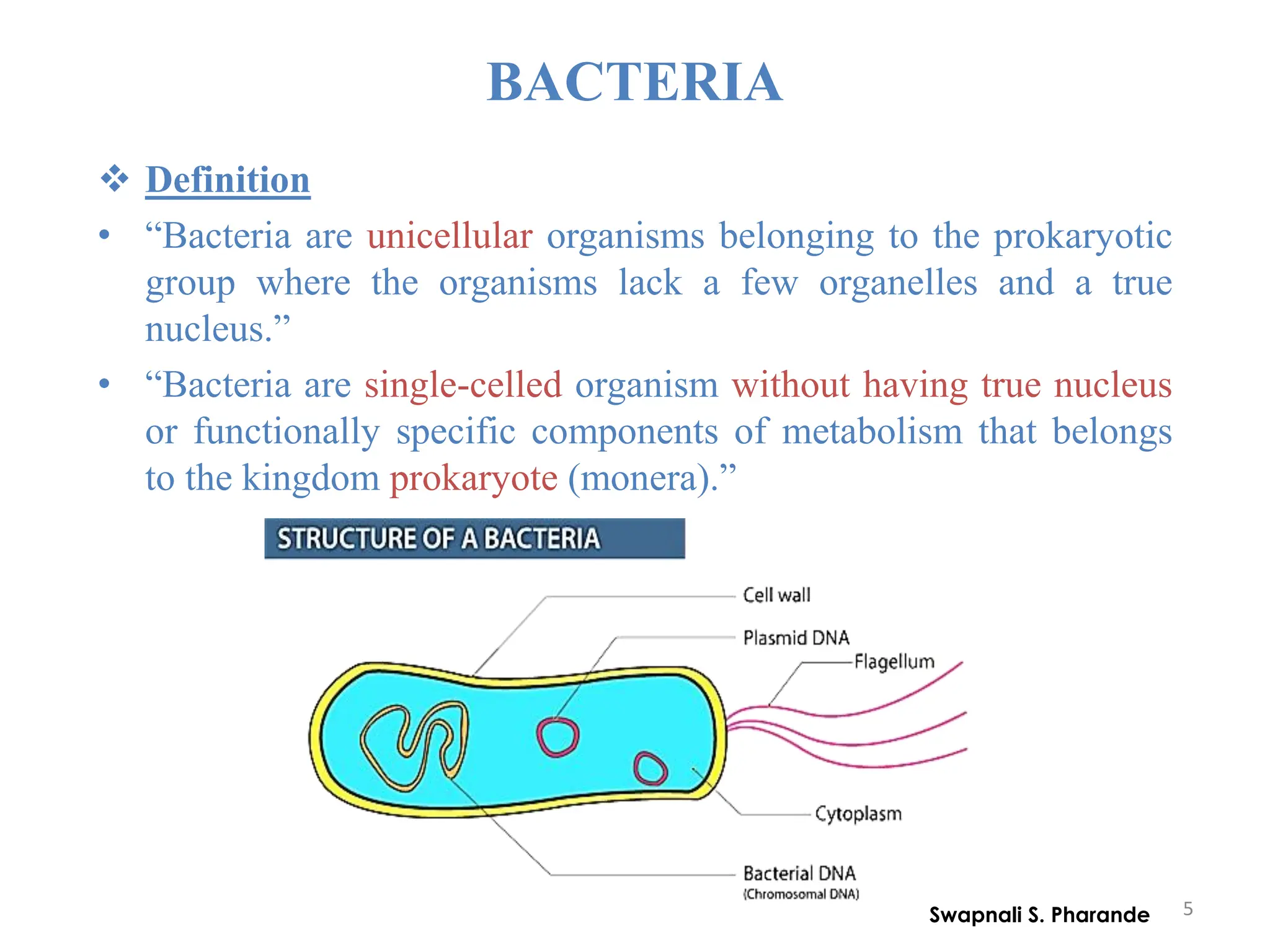 Bacteria: Classification of Bacteria.pdf