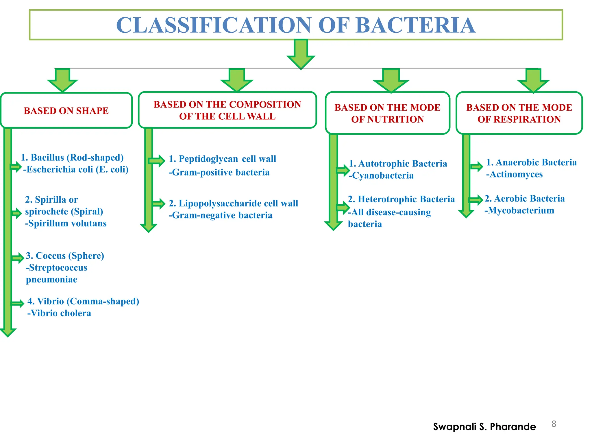 Bacteria: Classification of Bacteria.pdf