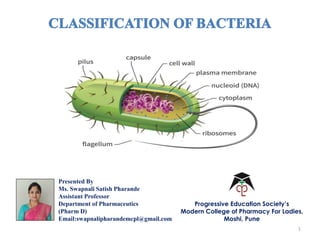 Bacteria: Classification of Bacteria.pdf