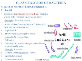 Bacteria: Classification of Bacteria.pdf