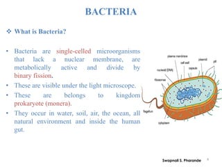 Bacteria: Classification of Bacteria.pdf
