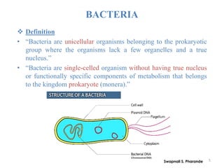 Bacteria: Classification of Bacteria.pdf