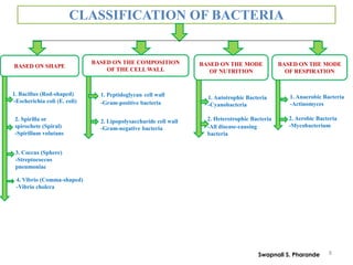 Bacteria: Classification of Bacteria.pdf