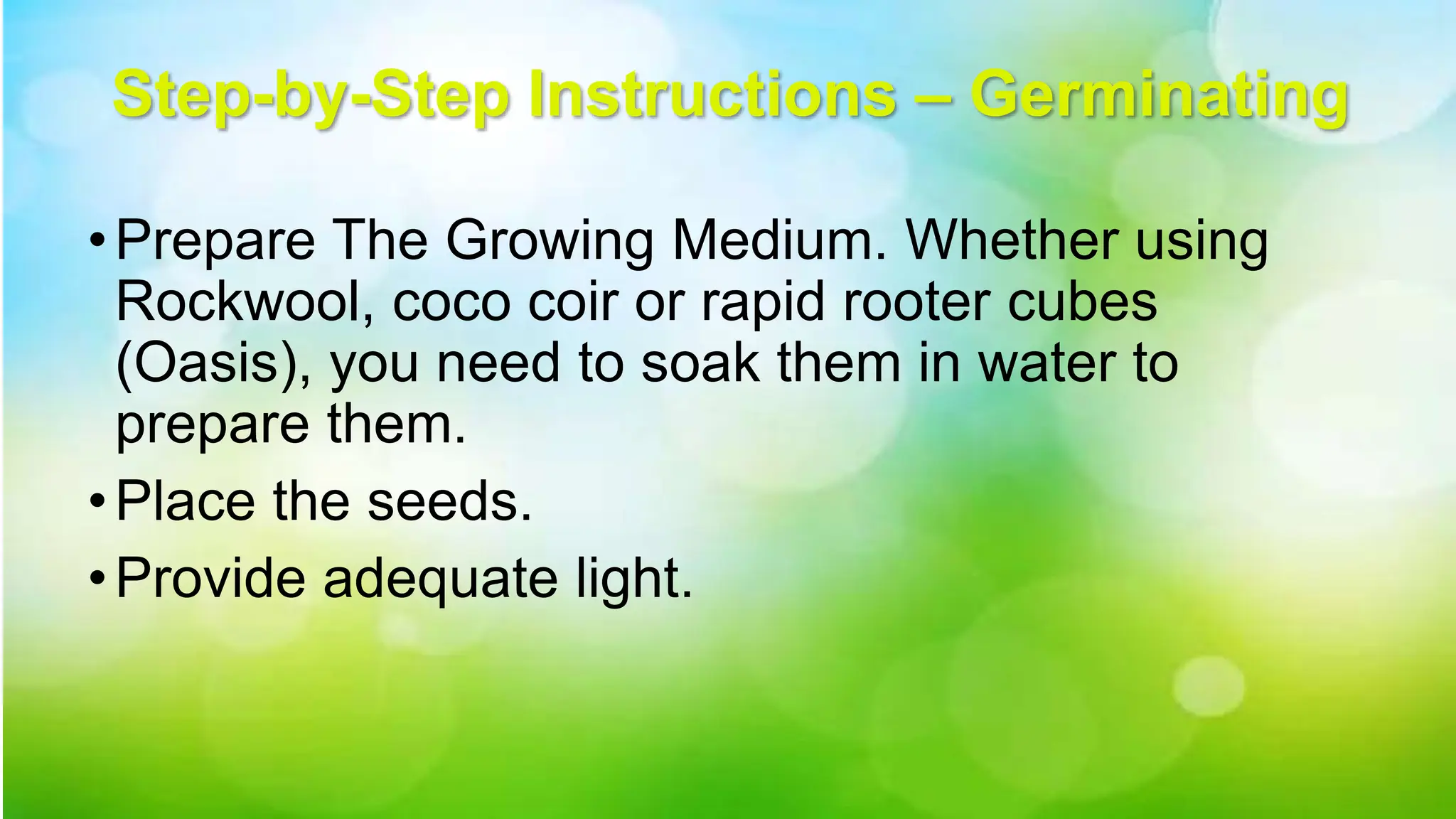 4. Seedling for hydroponics easy method.pptx