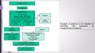 4. MICROBIOLOGICAL RISK ASSESSMENT ON FOODBORNE PATHOGENS (3rd semester ...