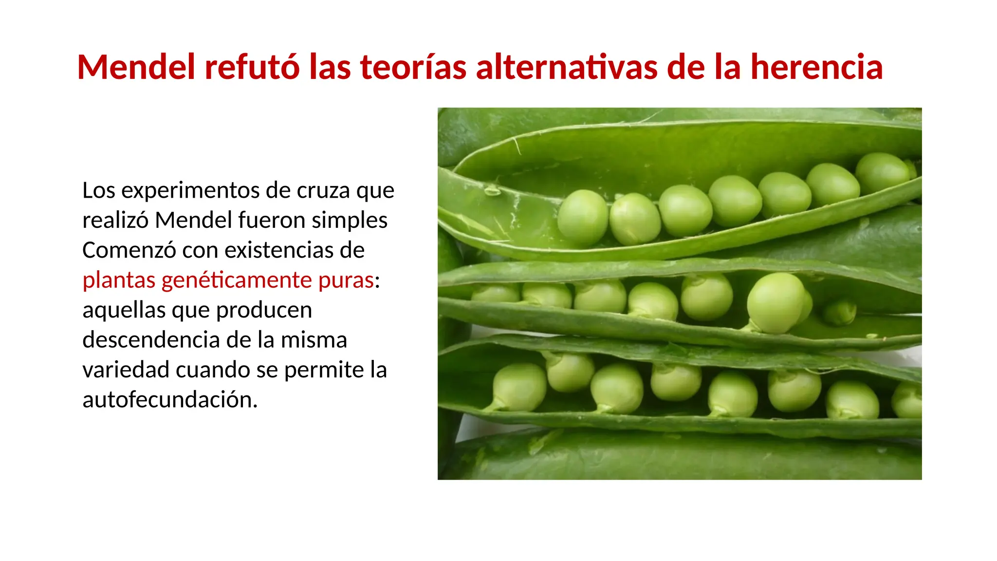GENETICA Y LEYES DE MENDEL y todas sus aplicaciones | PPT