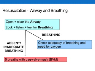 4. Basic Life Support in the Collapsed Infant and Child 2020.pdf