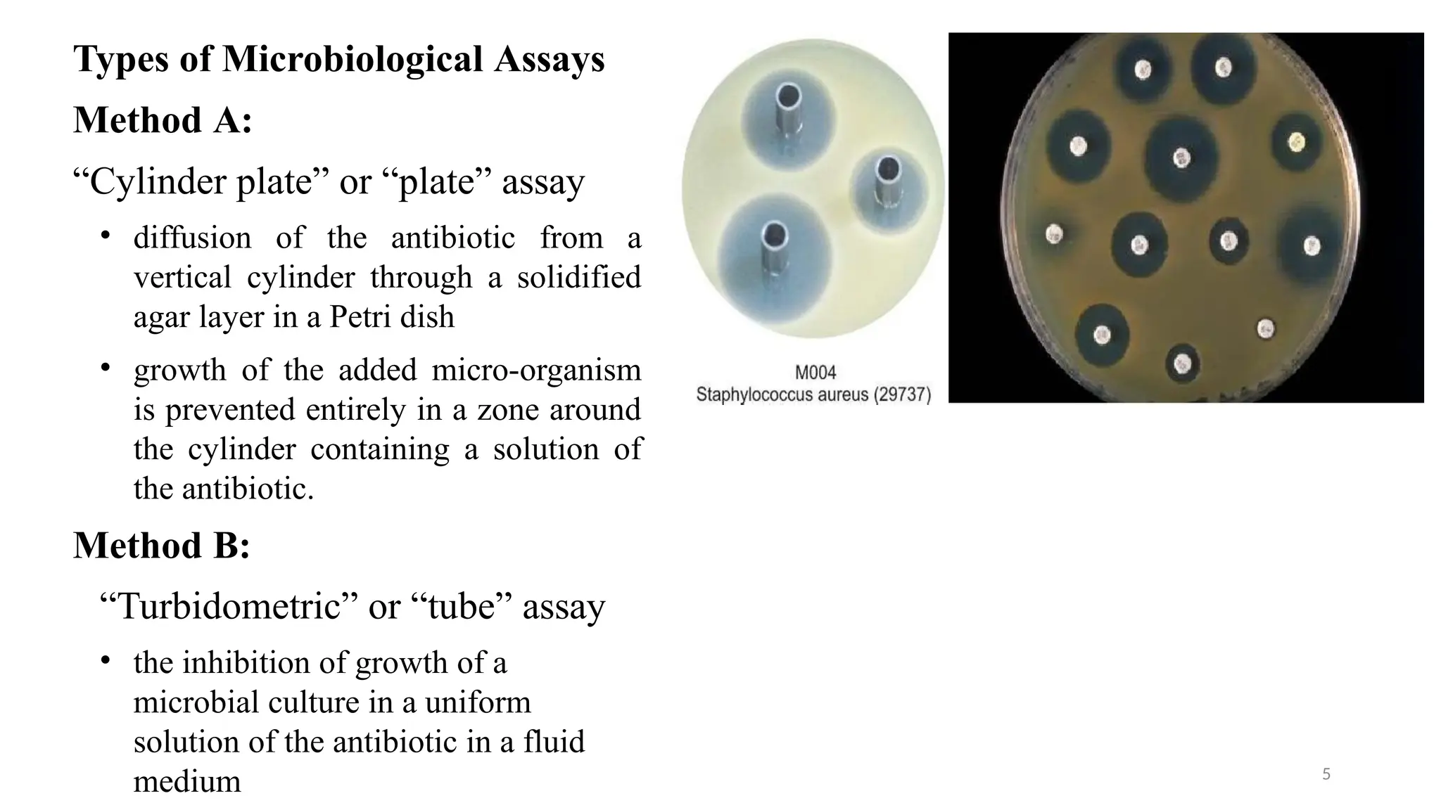Microbiological assays: General Methods | PPTX