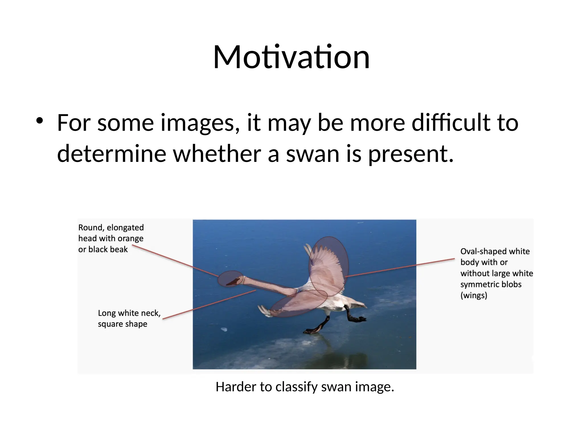 Basic Introduction to Convolutional Neural Network.pptx Basic Introduction to Convolutional Neural Network.pptx